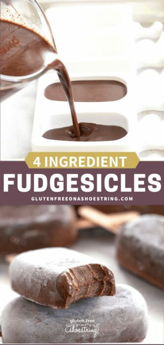 Healthy Fudgesicles Recipe | 4 Ingredients